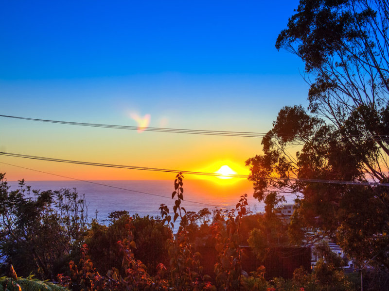 99 Cape Three Points Road, Avoca Beach, NSW 2251 - realestate.com.au