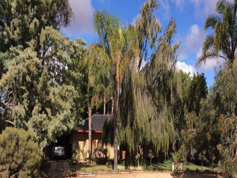 29 Richardson Street, Walpeup, Vic 3507 - Property Details