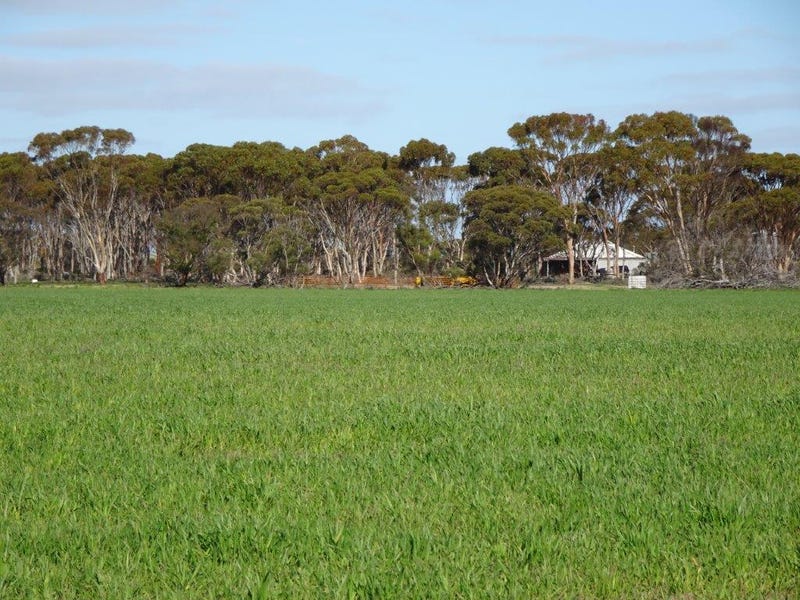 Lot 9790 Neve Road, Pingrup, WA 6343 - Property Details