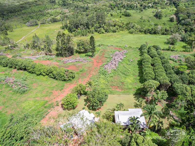 1000 Mossman Mount Molloy Road, Julatten, Qld 4871 - Lifestyle for Sale ...