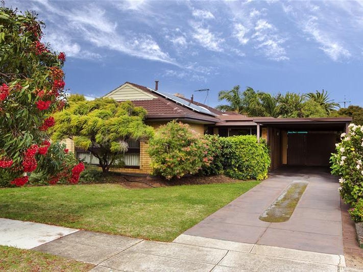 19 Freda Street, Netley, SA 5037 - realestate.com.au