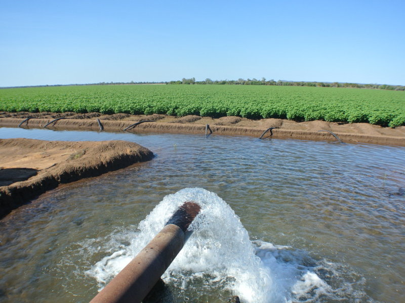 1 Macintyre Brook, Goondiwindi, Qld 4390 - Property Details