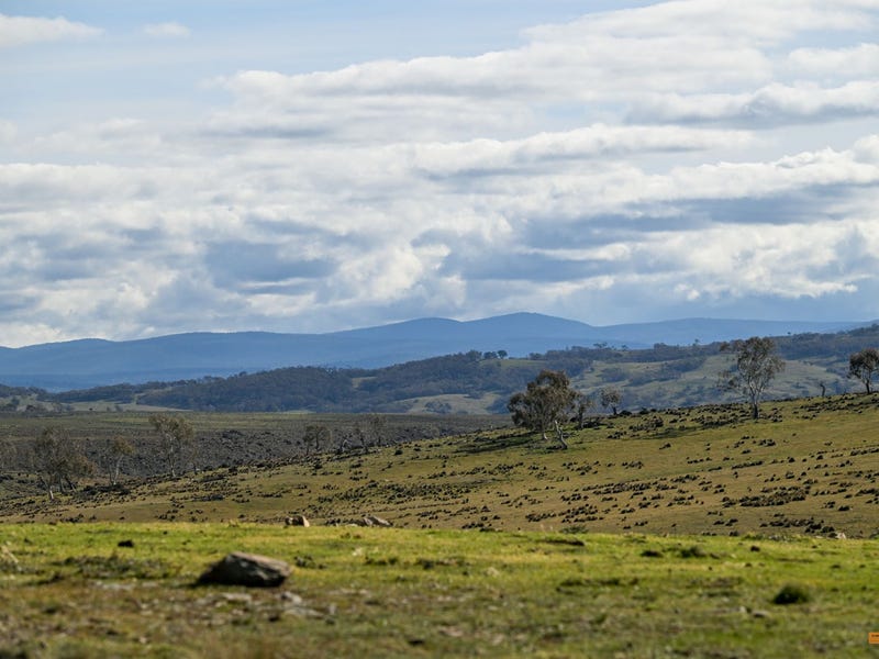 "Part Braeside" Caddigat Road, Dry Plain, NSW 2630 - Mixed Farming for ...