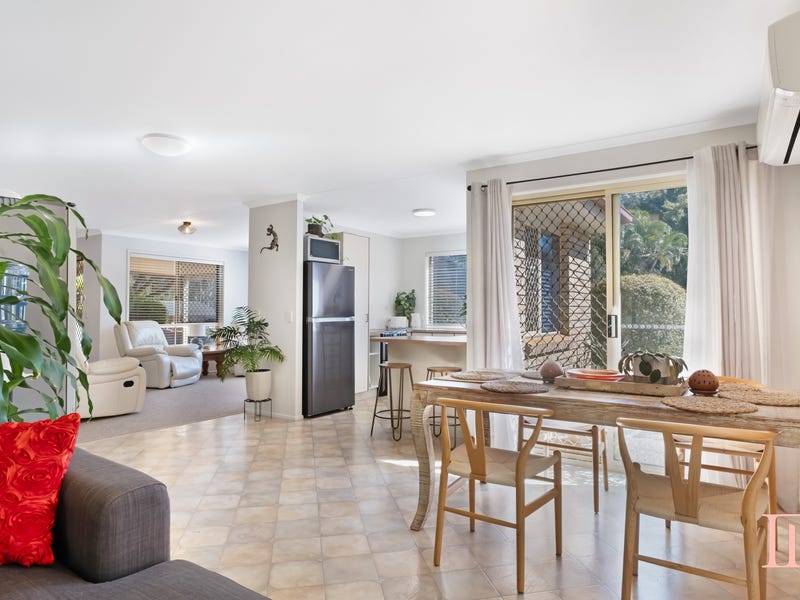 16 Primrose Court, Palmwoods, QLD 4555 - realestate.com.au