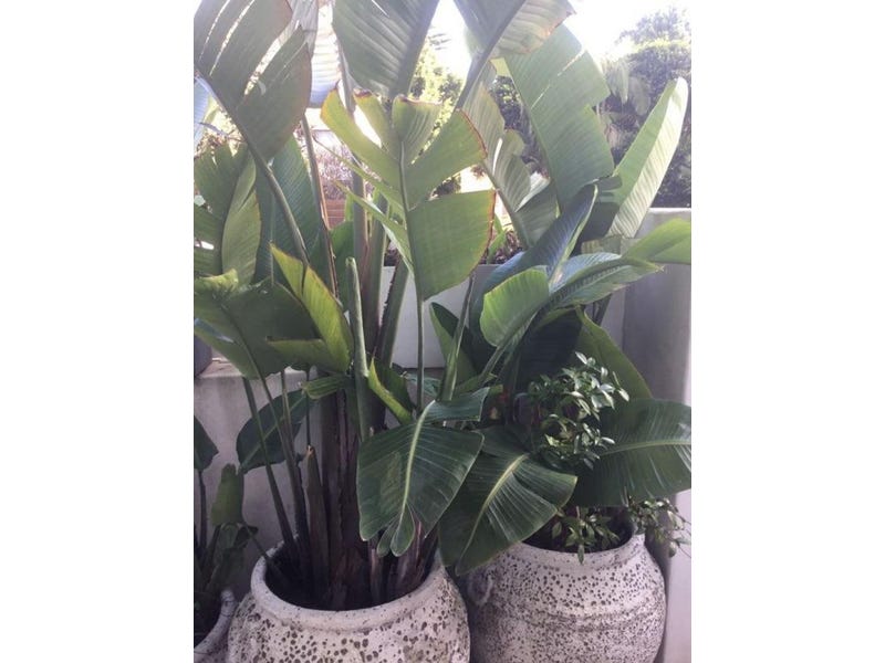 73 Beach Road, Bondi Beach, NSW 2026 - realestate.com.au