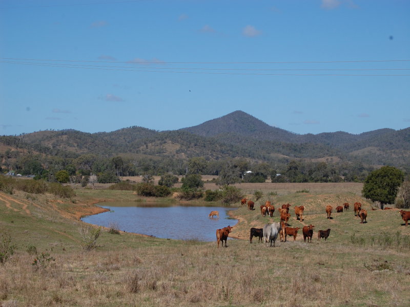 30 Duncan Street, Marmor, Qld 4702 - Property Details