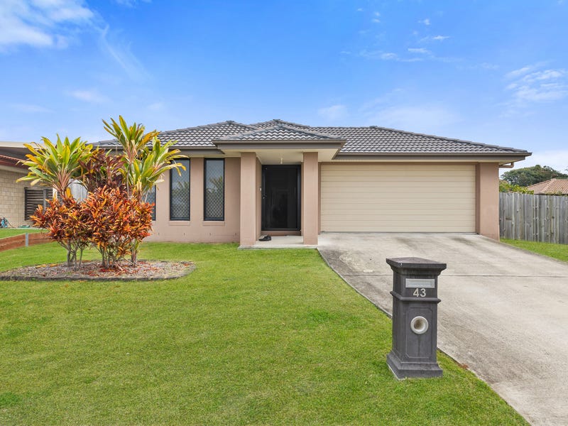 43 Dalray Drive, Raceview, Qld 4305 - Property Details