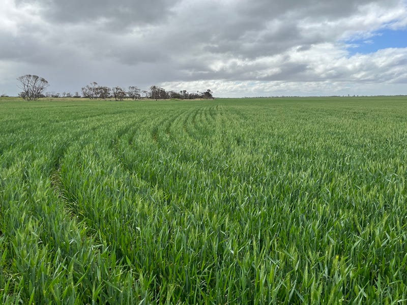 2943 Binnu East Road, Binnu, WA 6532 - Property Details