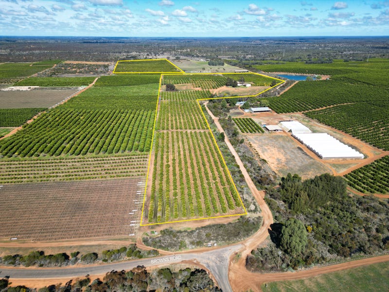 45 Regent Drive, Colignan, Vic 3494 - Cropping for Sale - realestate.com.au