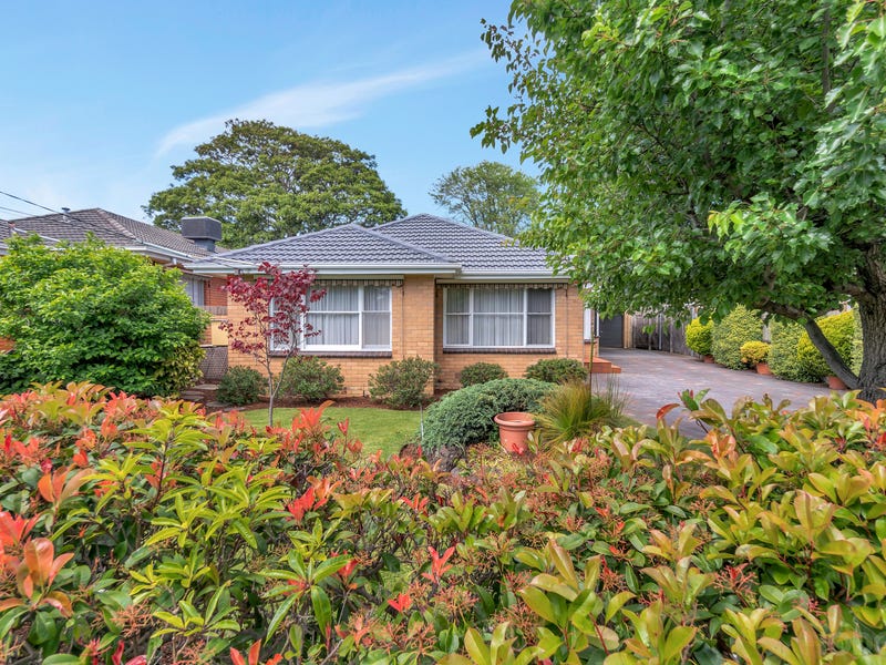 16 Ivy Street, Parkdale, Vic 3195 - Property Details