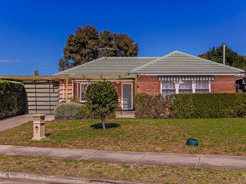 14 Shelley Avenue, Netley, SA 5037 - realestate.com.au