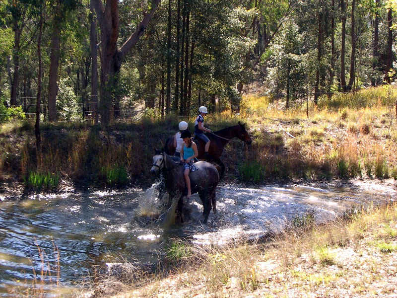 23 Private Rd 6, Bucketty, NSW 2250 - Property Details