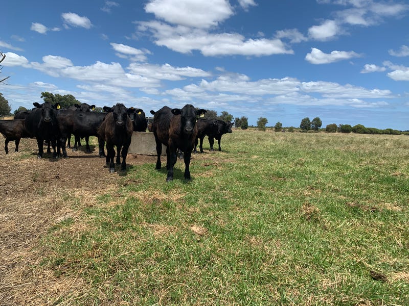 Lot 115 Cnr Swamp Rd & West Lane, Benger, WA 6223 - Property Details