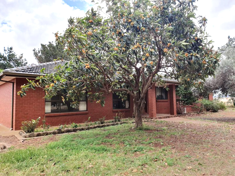 766 Mount Cottrell Road, Cobblebank, VIC 3338 - realestate.com.au