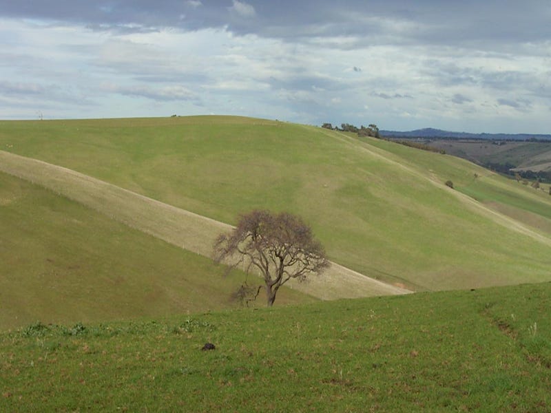 Lot 2, 1539 Steiglitz Road, Maude, Vic 3331 - Property Details