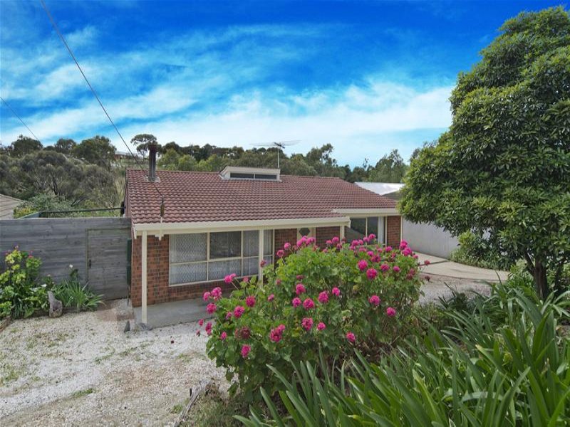19 Pocock Place, Reynella, SA 5161 - Property Details