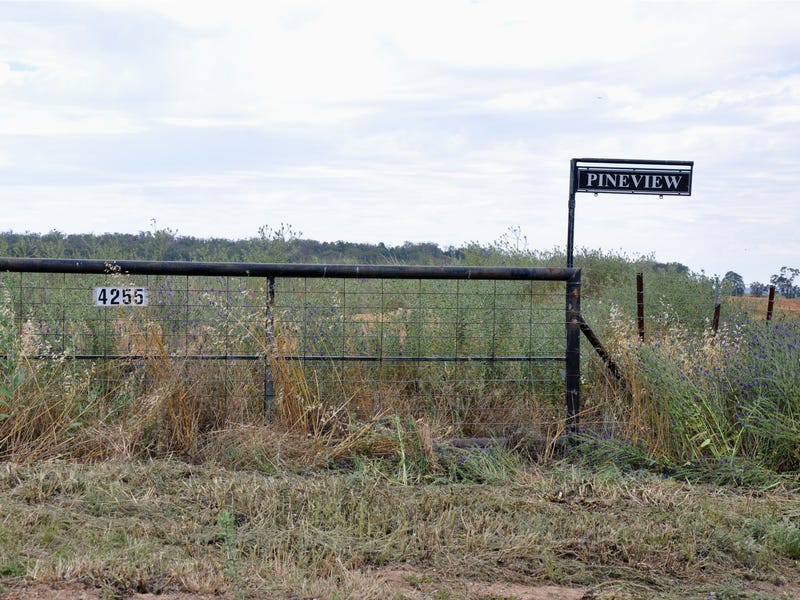 4255 Neilrex Road, Neilrex, NSW 2831 - Property Details