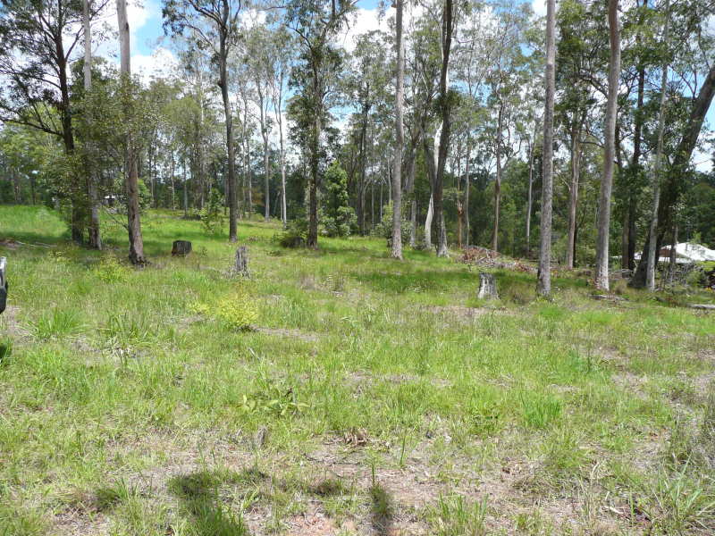 Lot 295 Stottenville Road, Bauple, QLD 4650 - realestate.com.au
