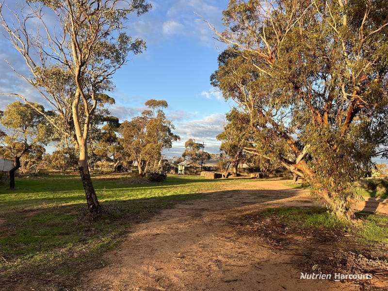 . Birnie Downs, Bencubbin, WA 6477 - Property Details