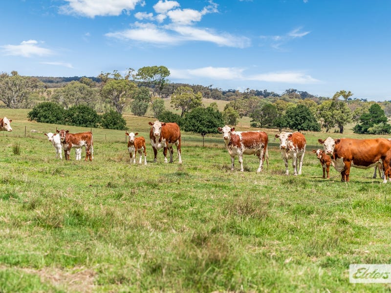 55 Rosehill Road, Metcalfe, Vic 3448 - Property Details