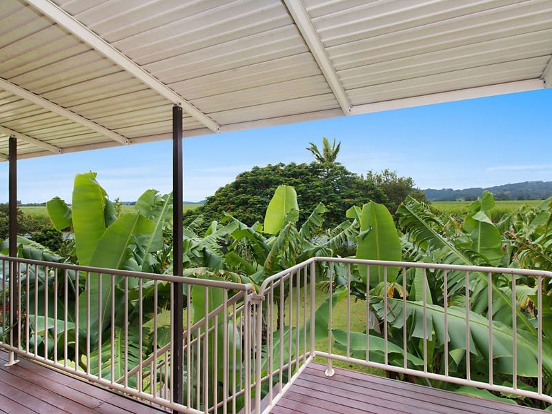 12 Mcleod Street, Condong, NSW 2484 - realestate.com.au