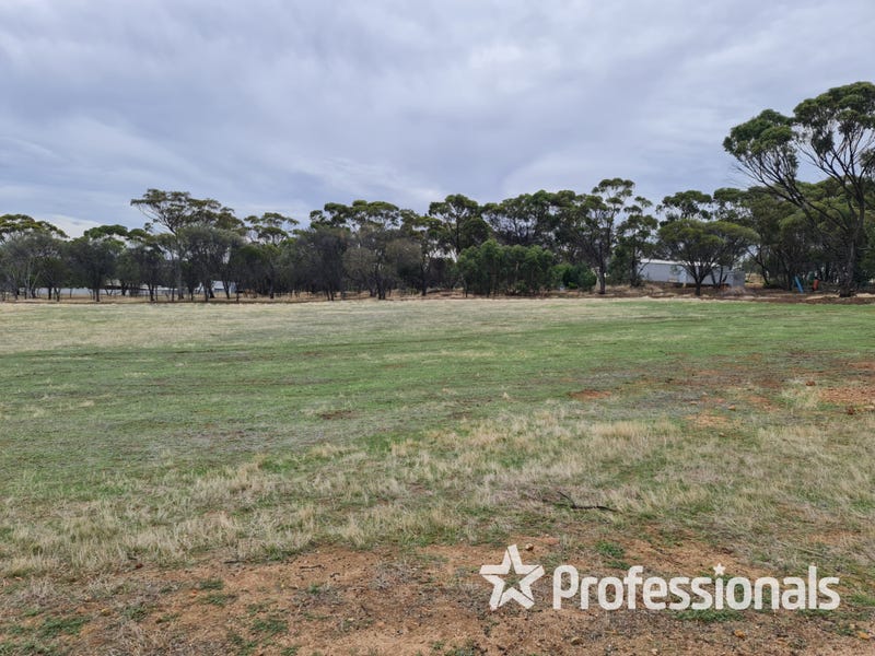 49 Carton Street, Cuballing, WA 6311 - realestate.com.au