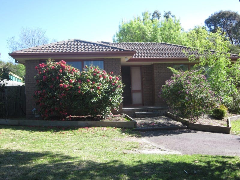 7 Grove End Road, Endeavour Hills, VIC 3802 - realestate.com.au