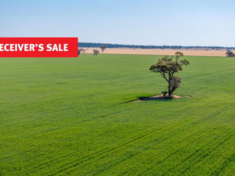 1040 Merribee Road, Binya, NSW 2665 - Property Details