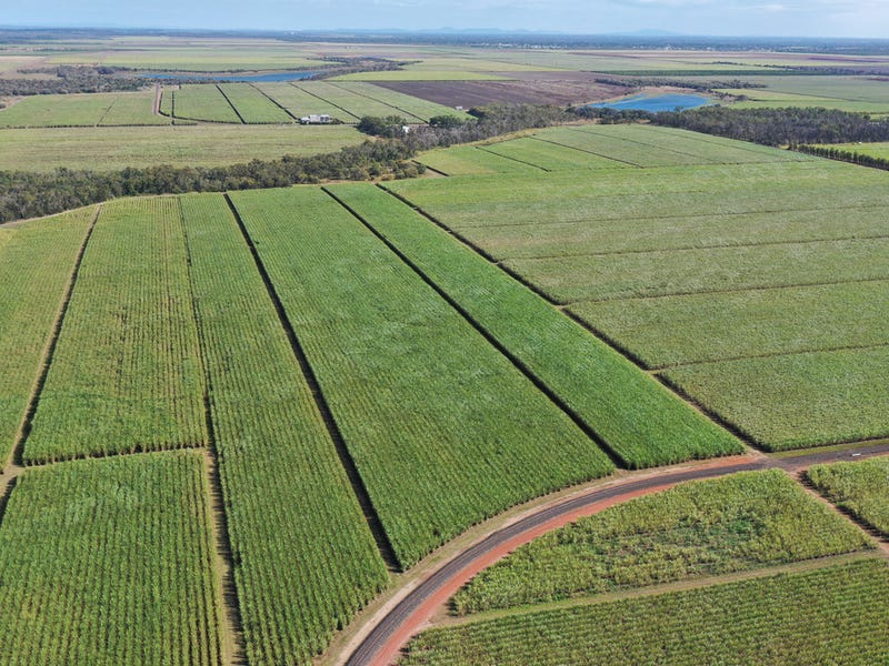 Property 700148138, Alloway, Qld 4670 - Property Details