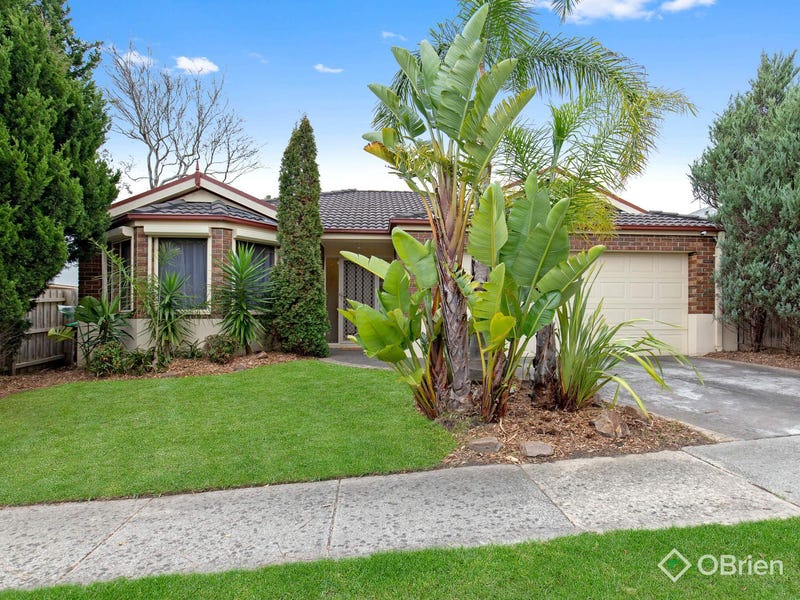59 Sunny Vale Drive, Langwarrin, VIC 3910 - realestate.com.au