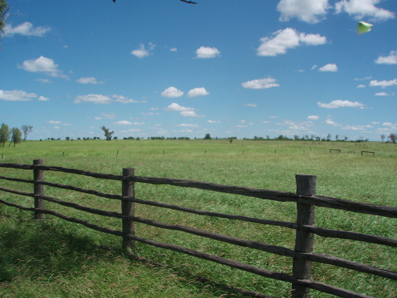 318 Cheeseborough Road, Clermont, QLD 4721 - realestate.com.au