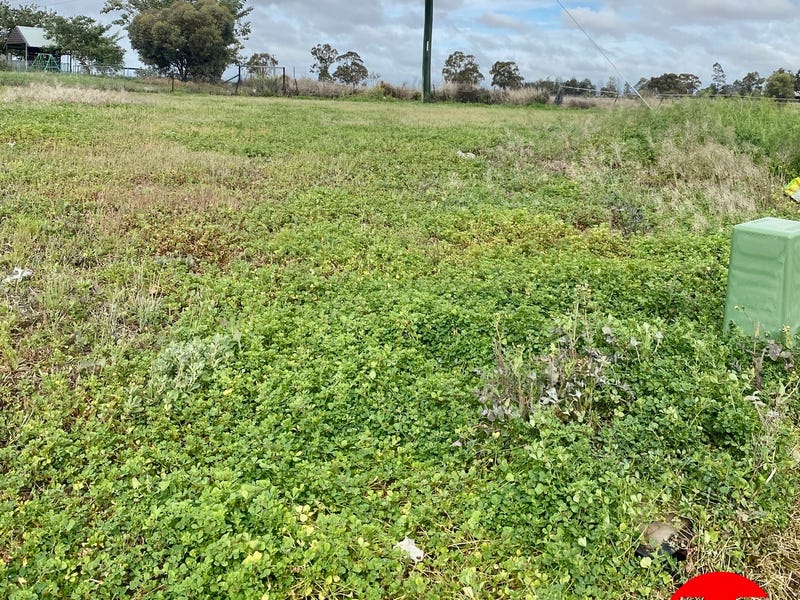 45 Wheeler Drive, Roma, QLD 4455 - realestate.com.au