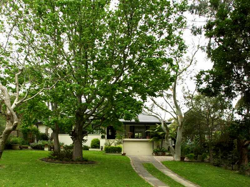 21 Ebor Road, Palm Beach, NSW 2108 - realestate.com.au