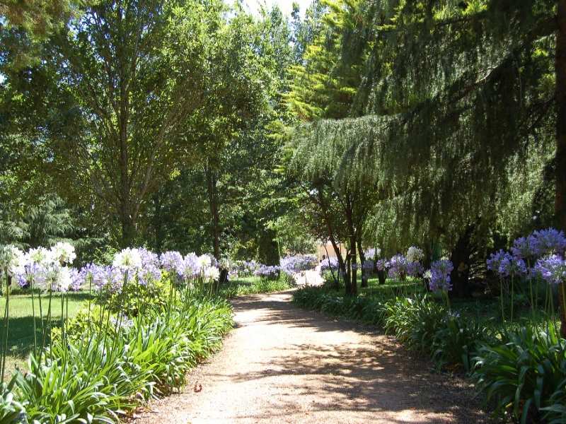 Sold Property Prices & Auction Results in Exeter, NSW 2579 (+1 location ...