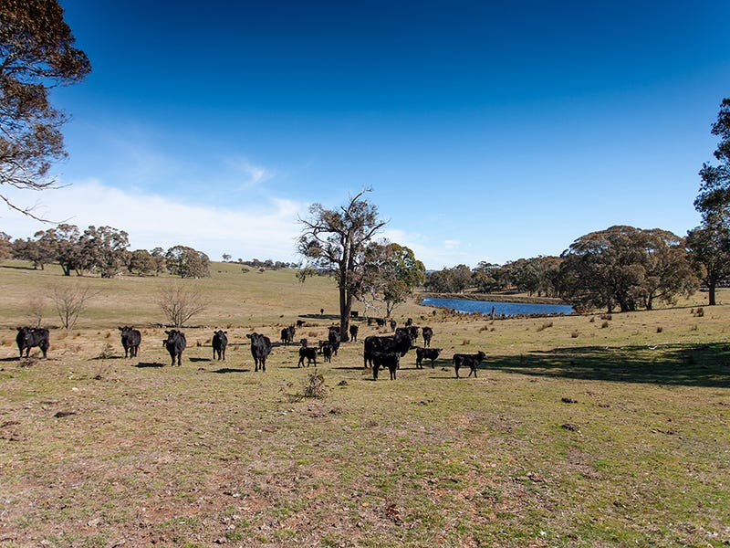 Redground Road, Crookwell, NSW 2583 - Property Details
