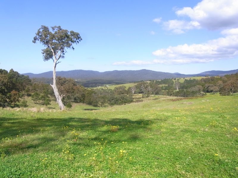 Cnr of Mt Darragh & New Buildings Road, Wyndham, NSW 2550 - Property ...