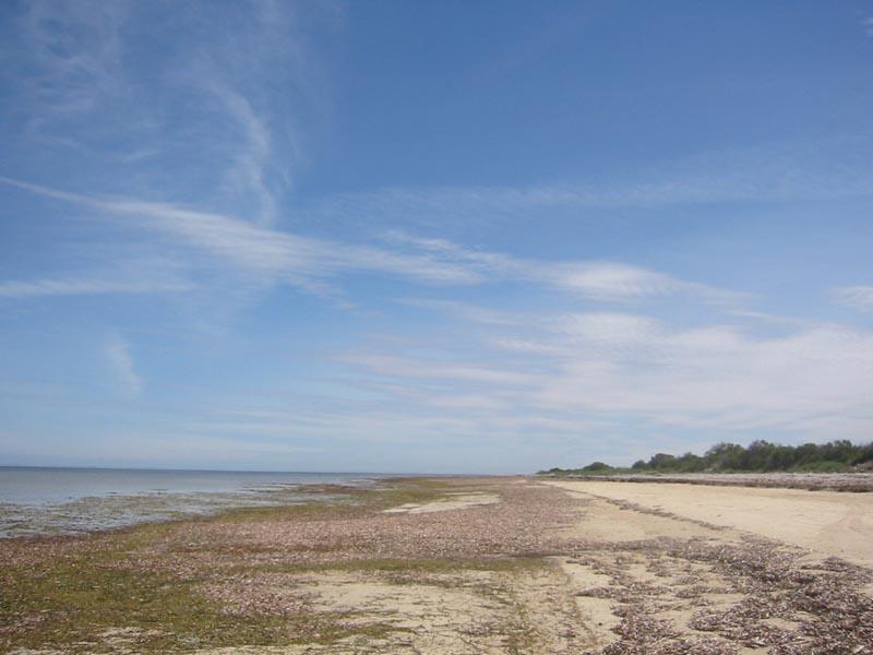 93 The Esplanade, Thompson Beach, SA 5501