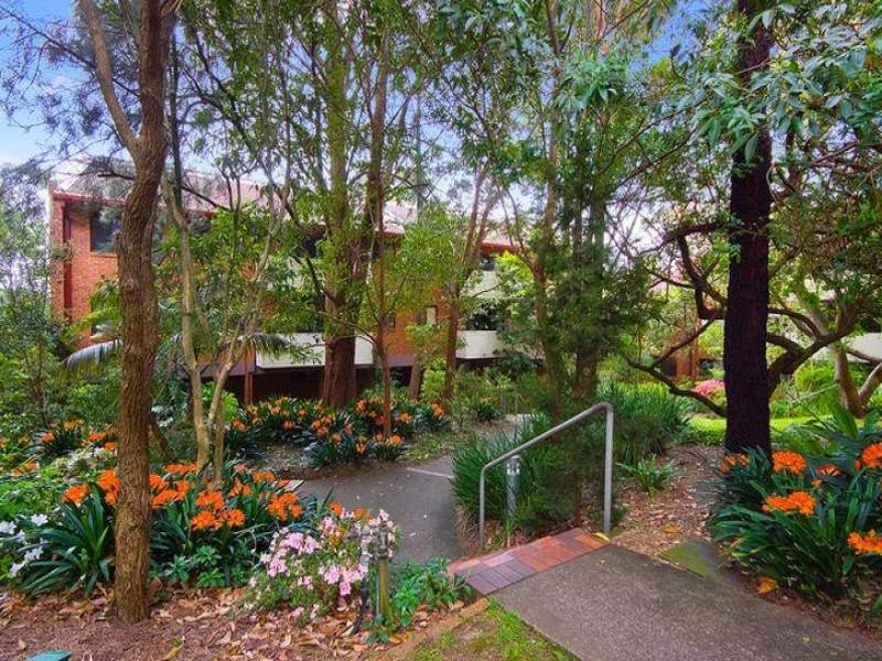 35/215 Bridge Road, Glebe, NSW 2037 - Property Details