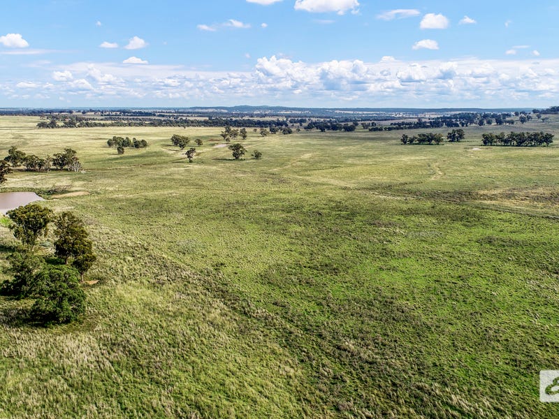 22L Ballimore Road, Ballimore, NSW 2830 - Property Details