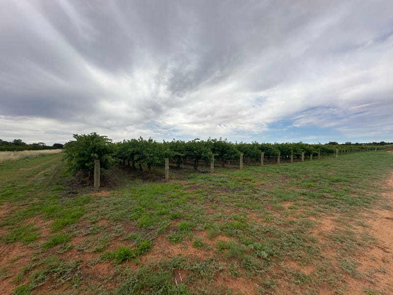 Lot 201 Jury Road, Monash, SA 5342 - Property Details