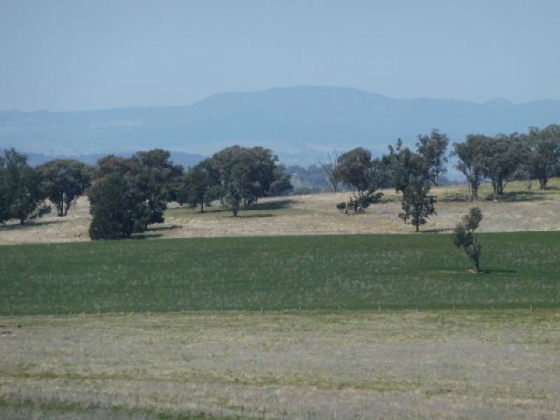 * GOONIGAL Gumble Rd Manildra, Orange, NSW 2800 - Property Details