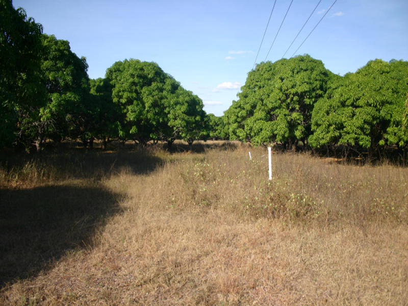 475 Miles Rd (Eva Valley), Batchelor, NT 0845 - Property Details