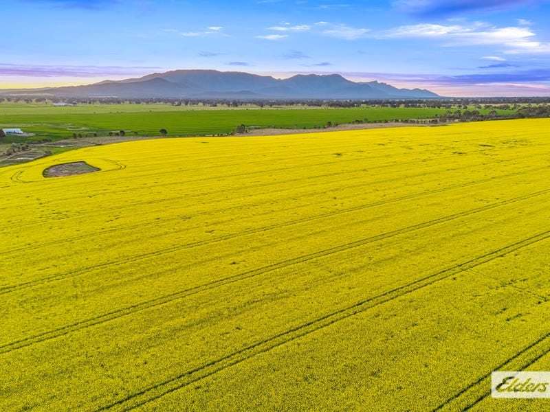 Willaura - address available on request - Cropping for Sale 700299300 ...