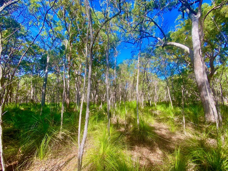Real Estate & Property for Sale in Gladstone - Greater Region, QLD (+1 ...
