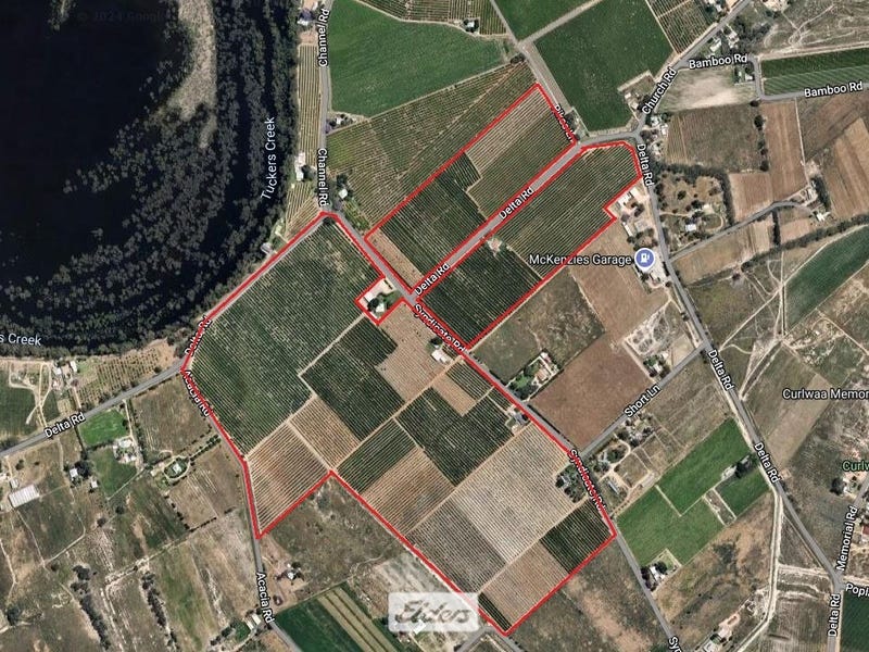 310 Delta Road, Curlwaa, NSW 2648 - Horticulture for Sale - realestate ...