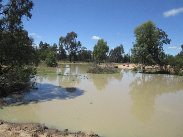 Property 700010858, Tara, Qld 4421 - Property Details