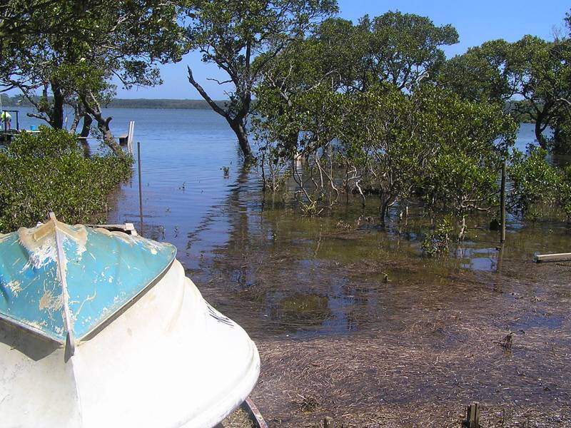 16 Orient Point Road, Culburra Beach, NSW 2540 - realestate.com.au