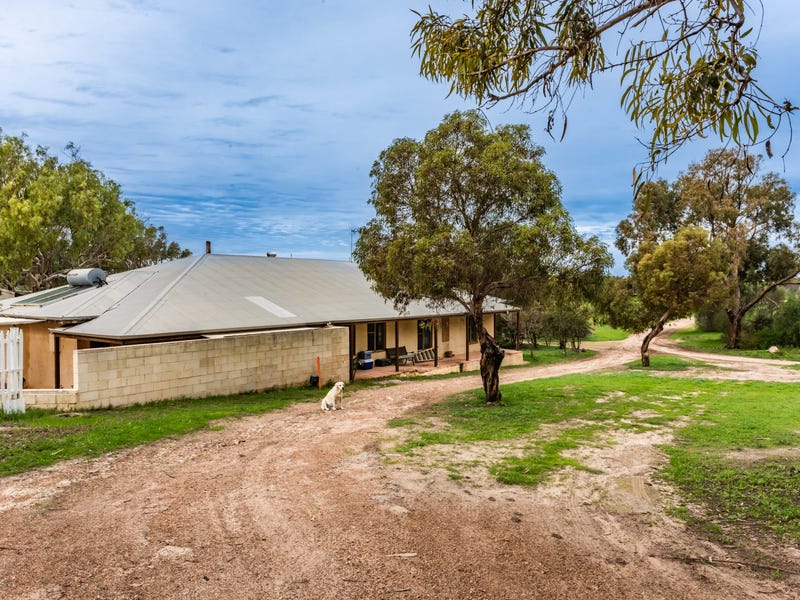 151 Blenheim Road, Springfield, WA 6525 - Property Details