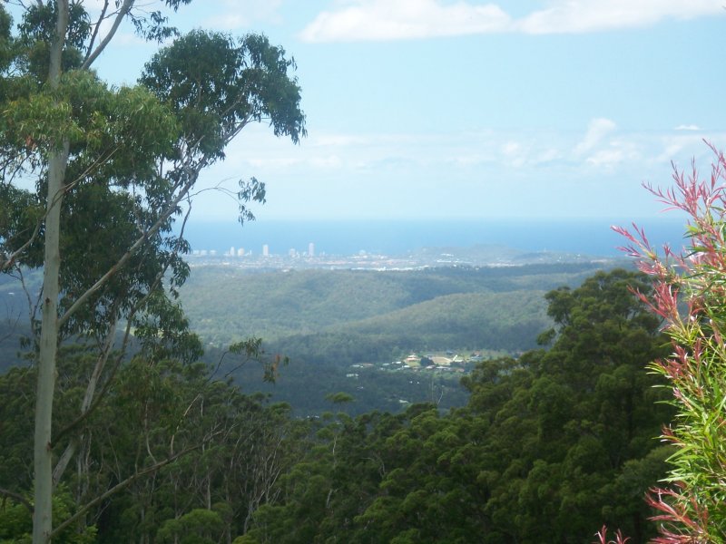 449 Mount Nimmel Road, Austinville, QLD 4213 - realestate.com.au