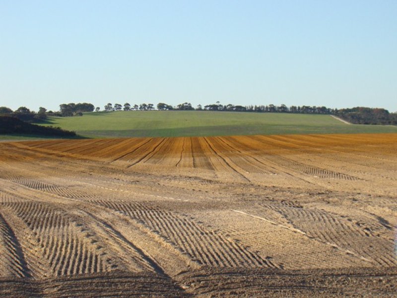 Lot 4 & 2809 Nabawa Yetna Road, Howatharra, WA 6532 - Property Details